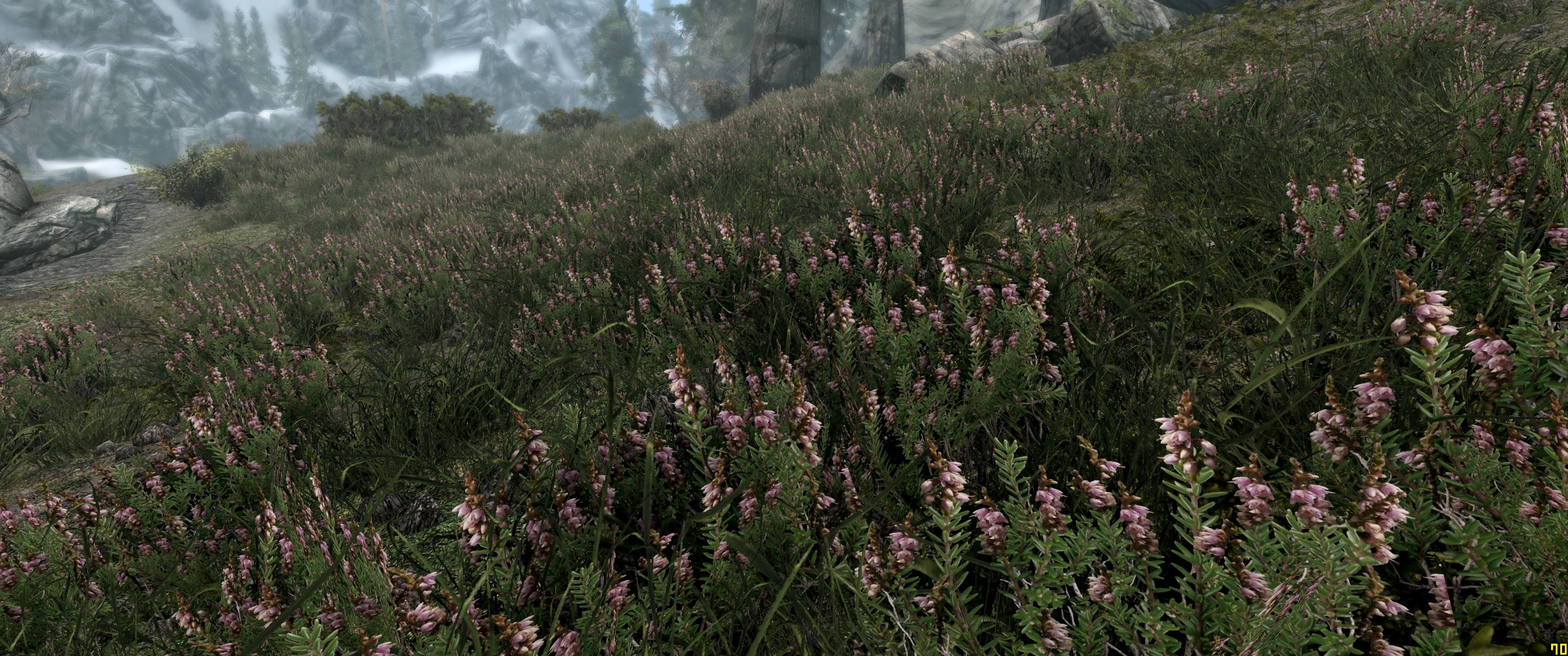 SSE - Skyrim Flora Overhaul | Улучшенная флора Скайрима - моды для ...